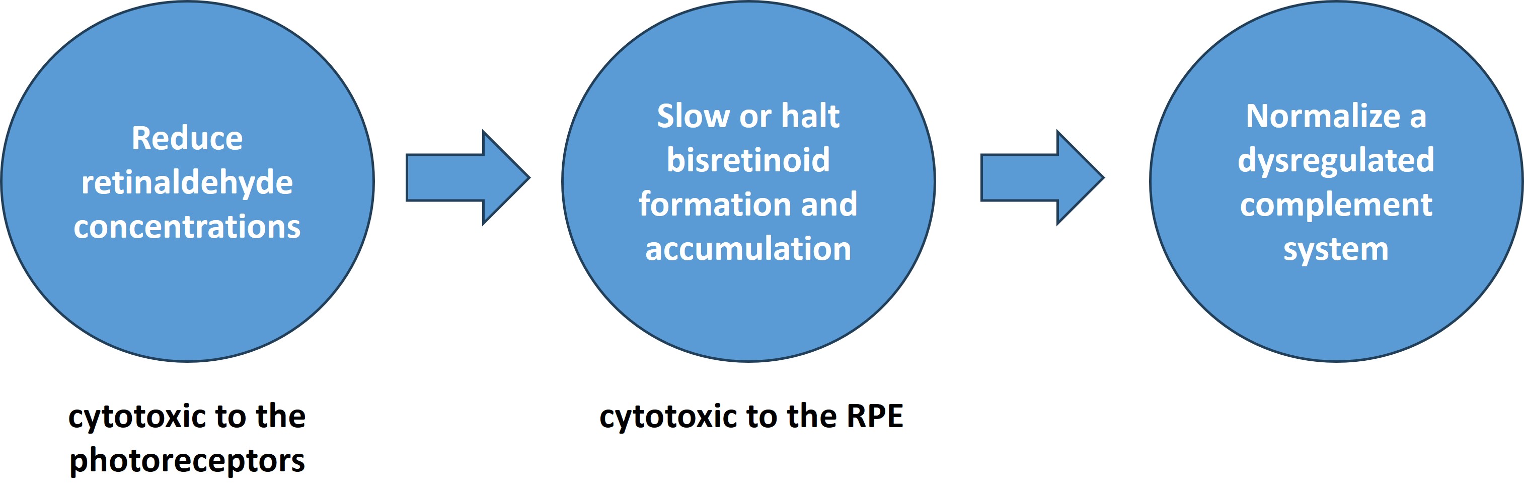 Areas of Research Focus | Cioffi Group